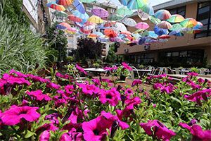 Restorani.mk | Пронајди ресторан и резервирај онлајн